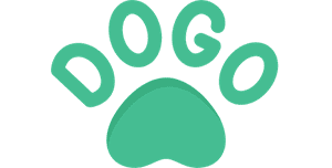 Studio - Leap Ventures